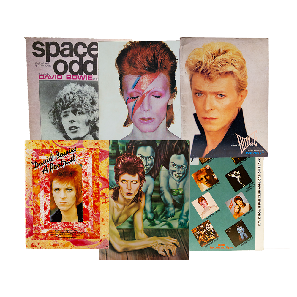 David Bowie Collection - Bynx